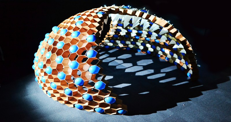 Structure is good for you: exploring geodesic and tensegrity forms ...